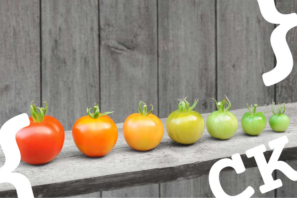 Software quality: Origin story - Coders Kitchen