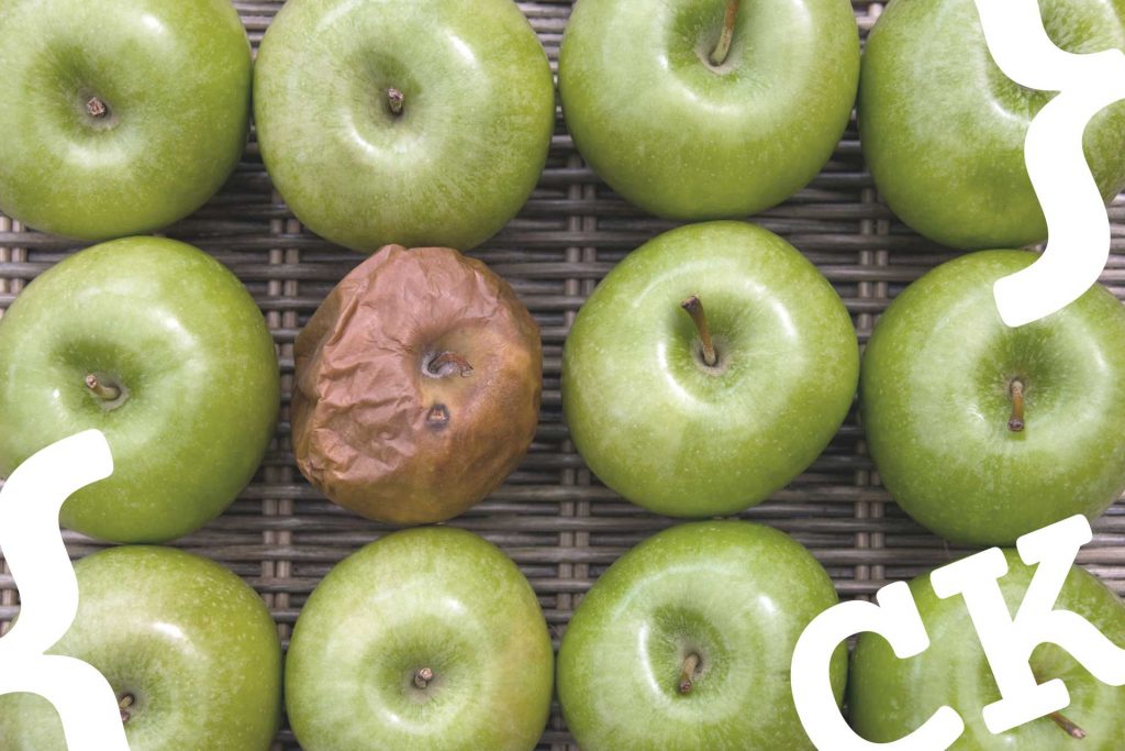 Software quality check of open source projects - Coders Kitchen