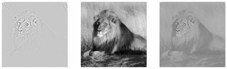 Guided Backpropagation with PyTorch and TensorFlow - Coders Kitchen